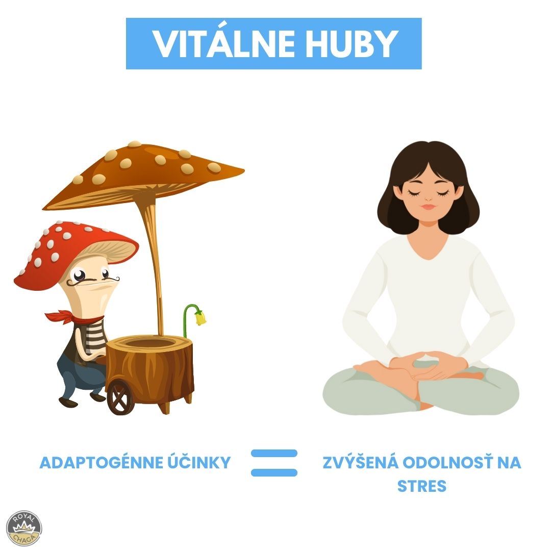 Vitálne huby | RoyalChaga.sk