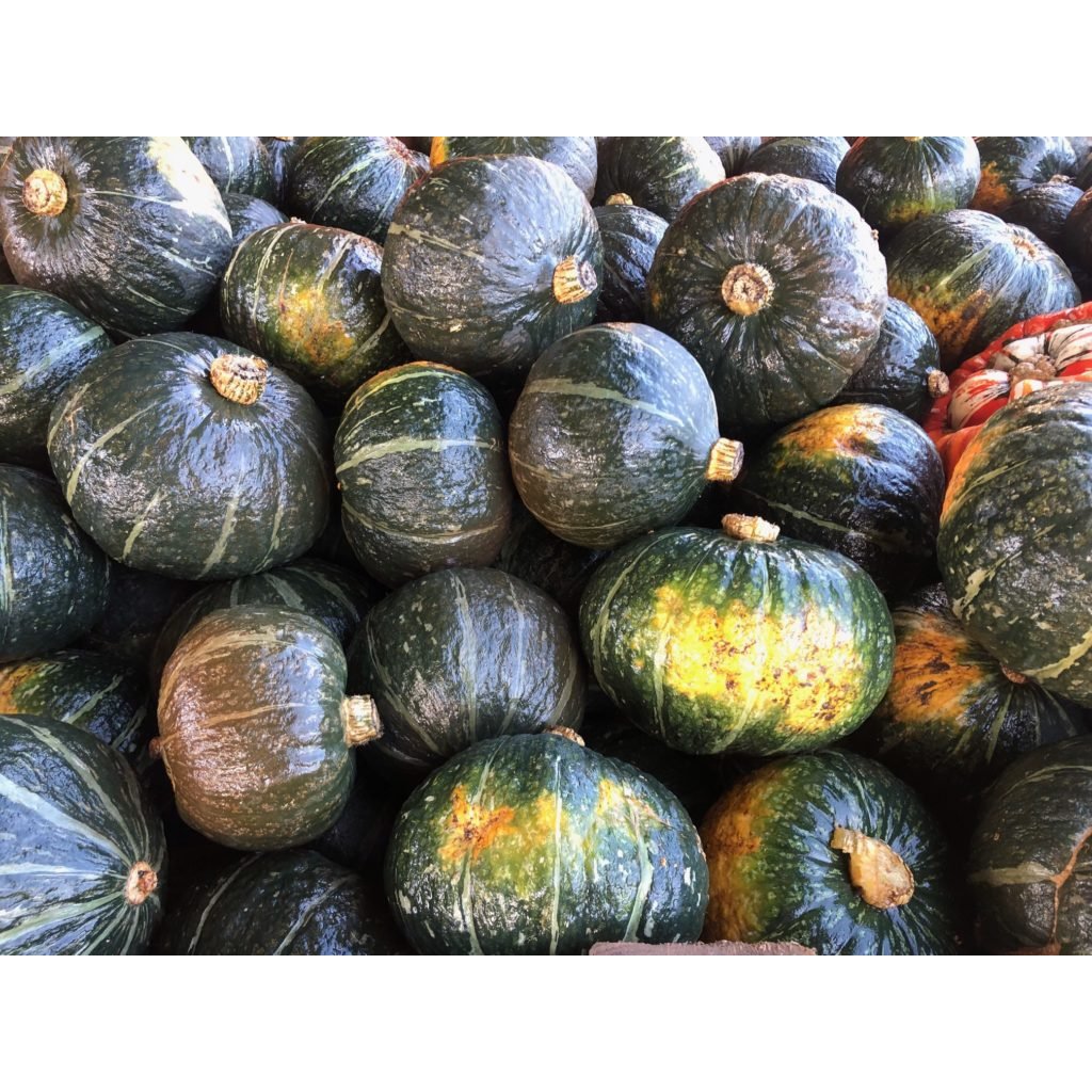 Dýně Kabocha Buttercup - Culina Botanica