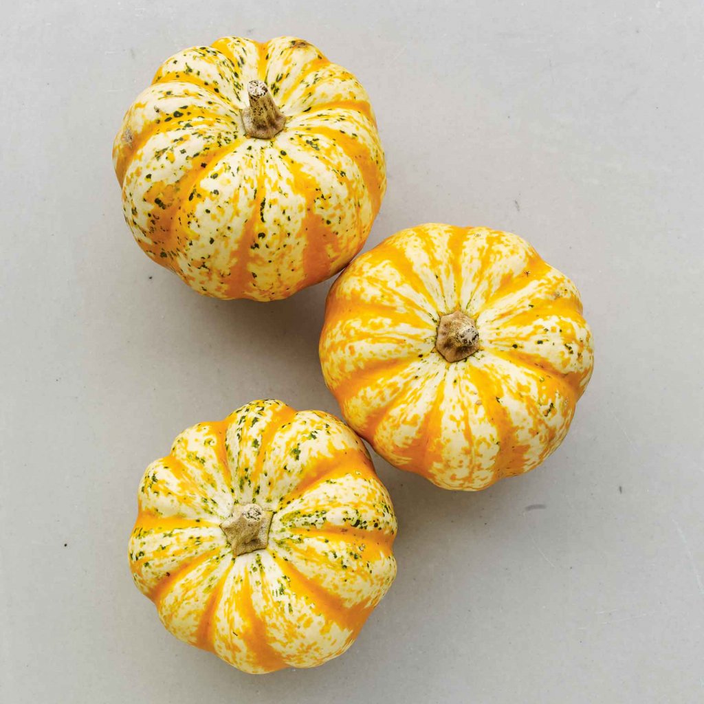 Dýně Sweet Dumpling BIO - Culina Botanica