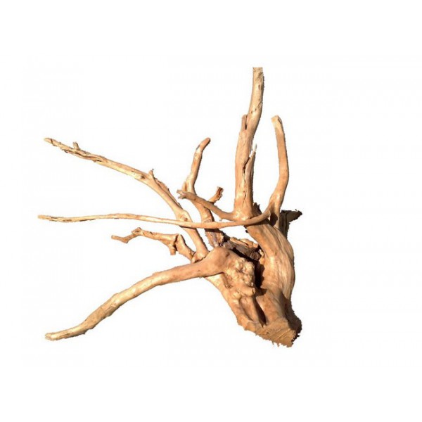 Koreň Finger Wood - veľký iba za 25 € - Akvaristika Akvaland.sk