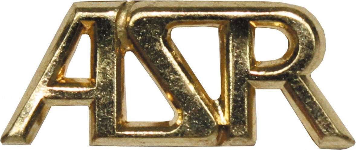 Odznak zlatý ASR Armáda Slovenskej republiky originál - ARMYSURPLUS