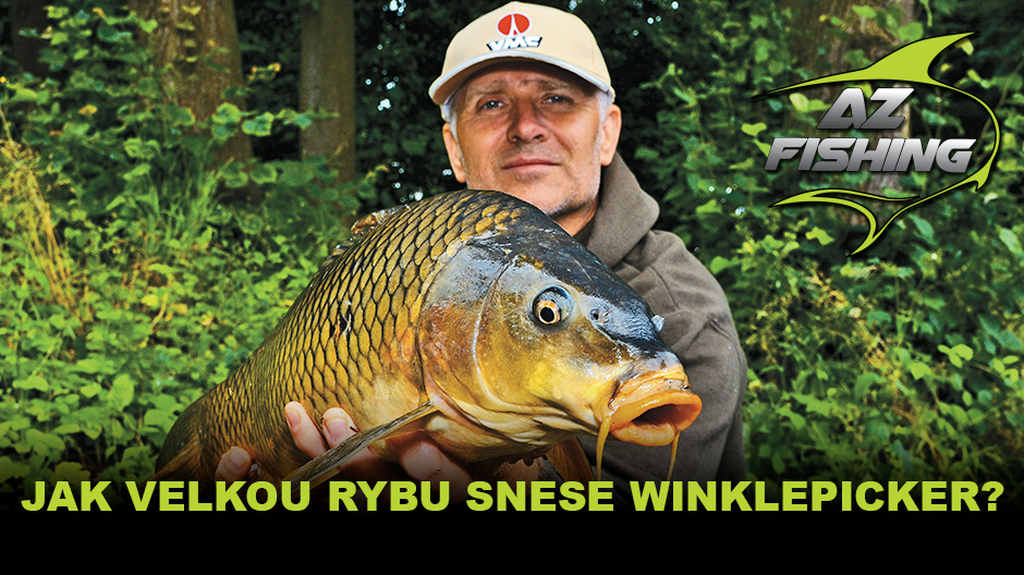 Jak velkou rybu snese winklepicker? | AzFishing.cz
