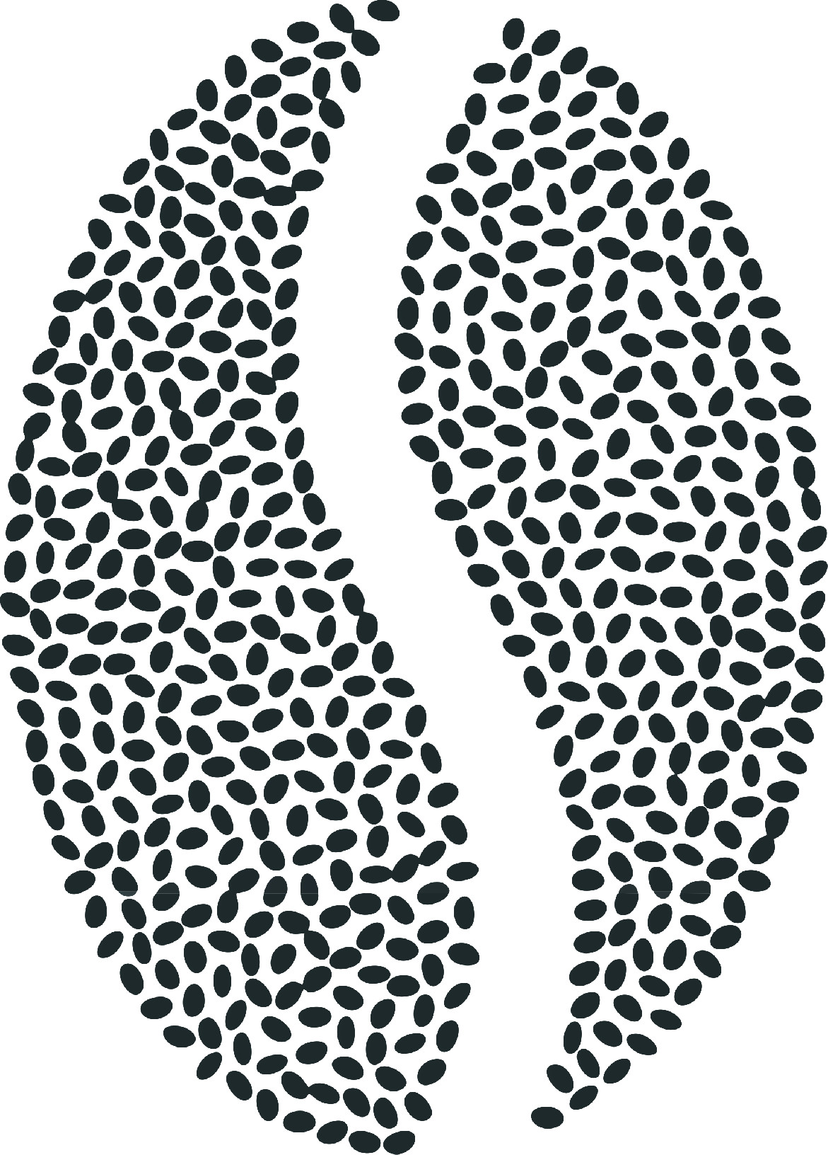 Kávové zrno - plastová šablona 415 (29x29cm) - barvyartemiss.cz