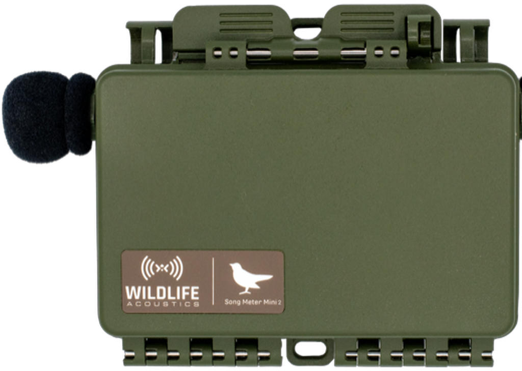 Wildlife Acoustics SONG METER MINI 2 AA Acoustic Recorder - BAT-MAN