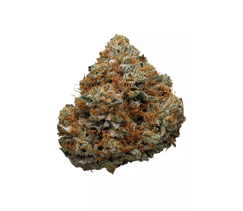 Biogrowshop.sk - Produkty