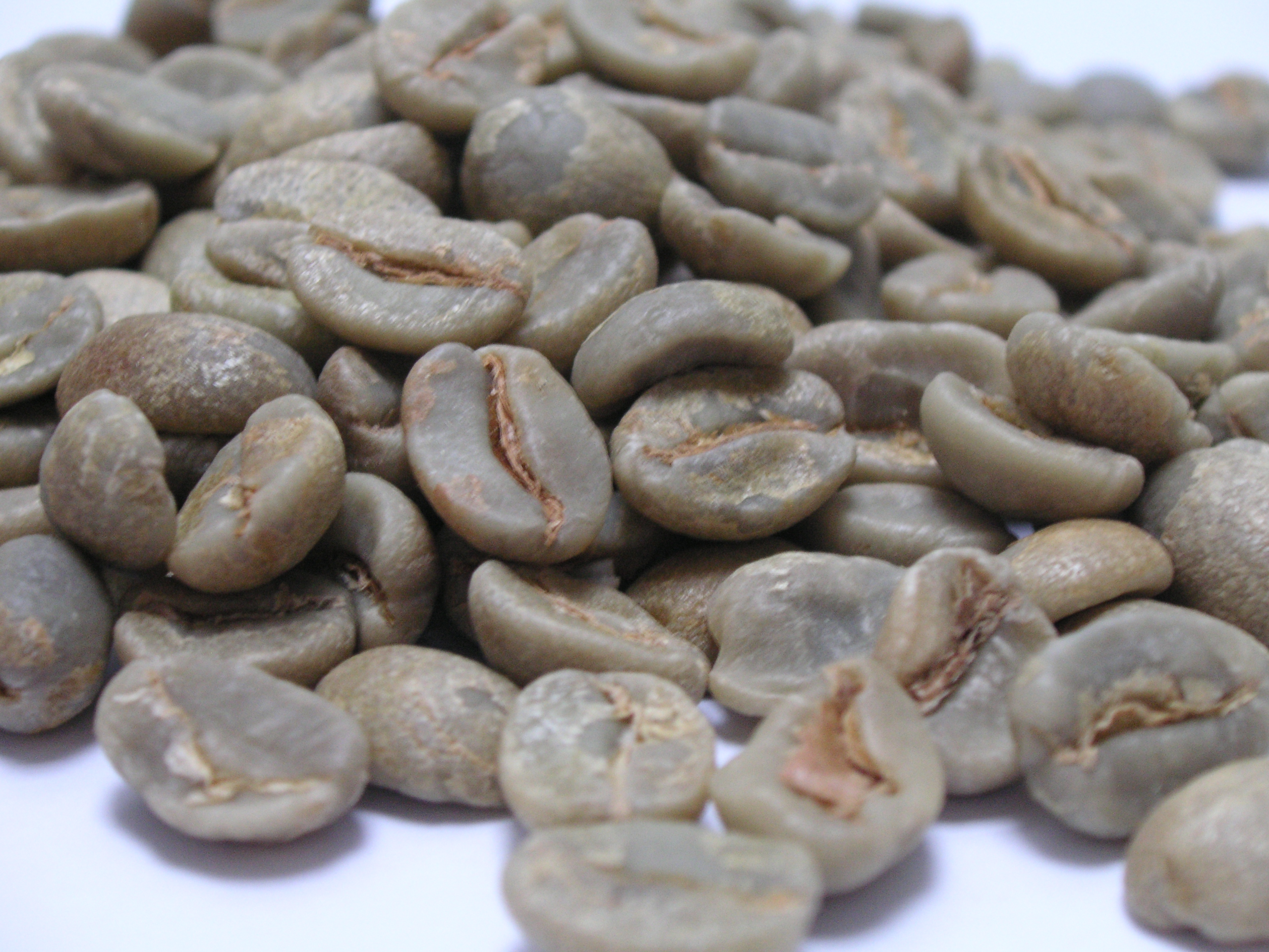 Káva - BotaCoffee.cz