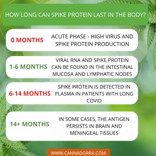Long covid - symptoms, cause and therapy | Cannadorra.com