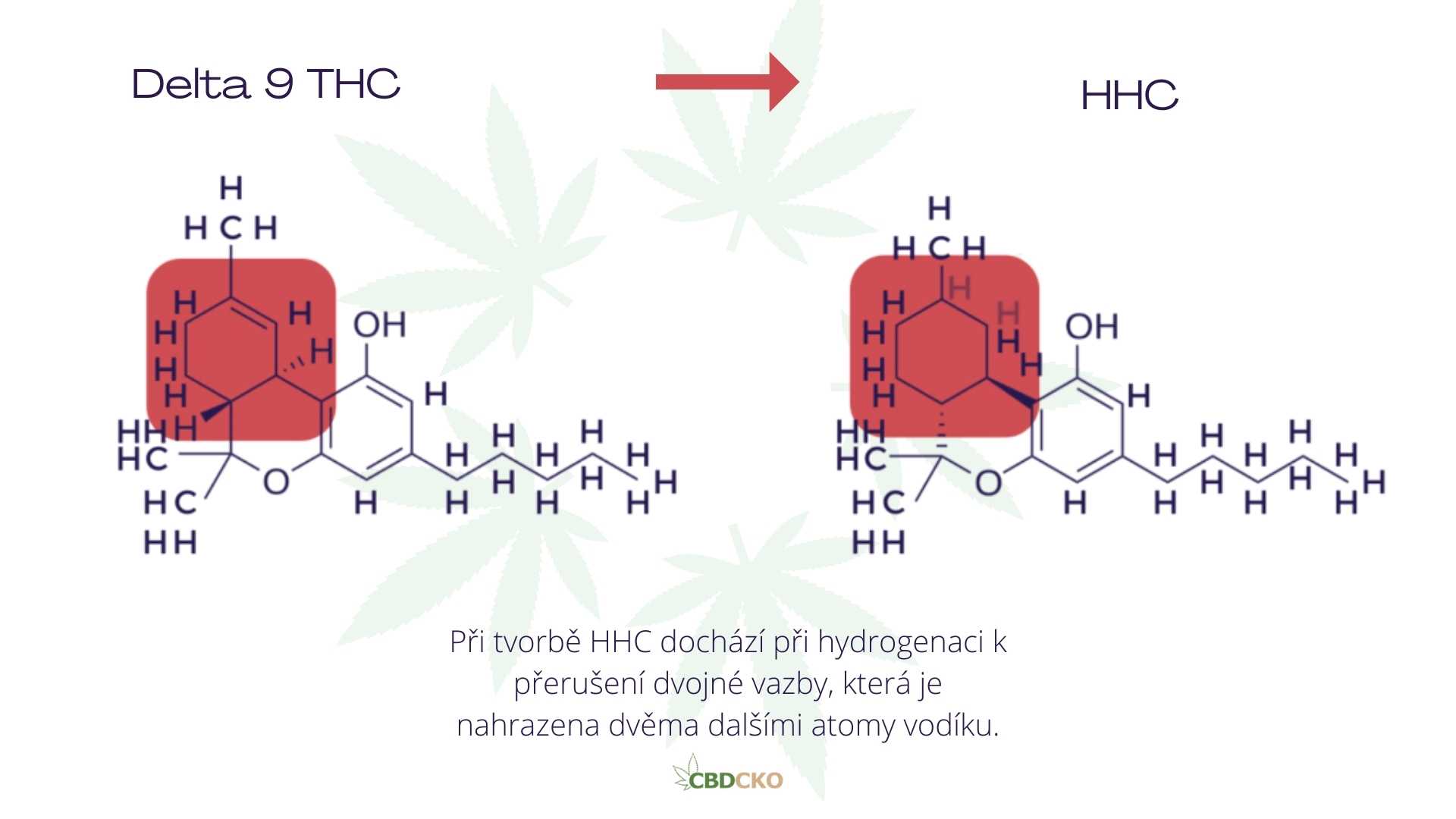HHC - co to je, účinky, původ a prodej