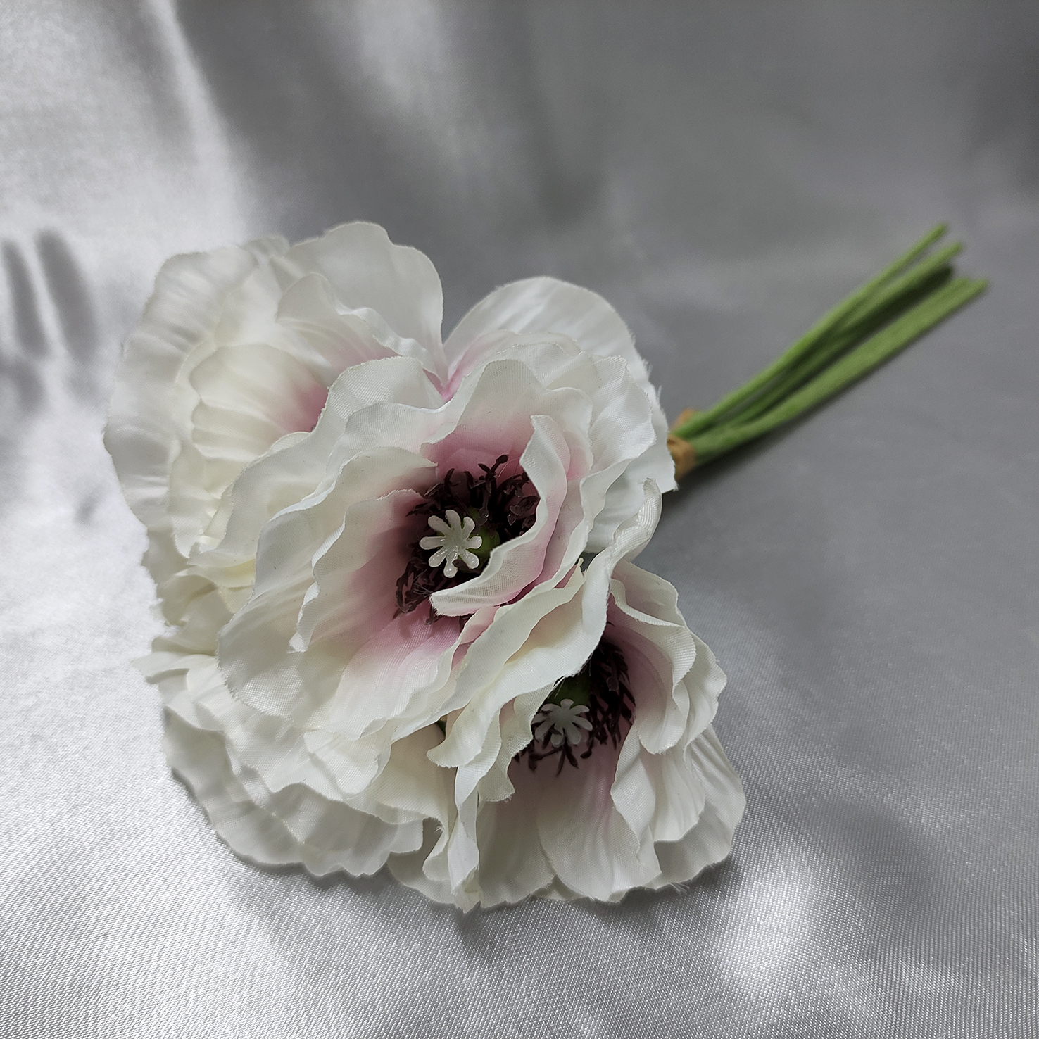 Mák bílý - cernobilagalerie.cz