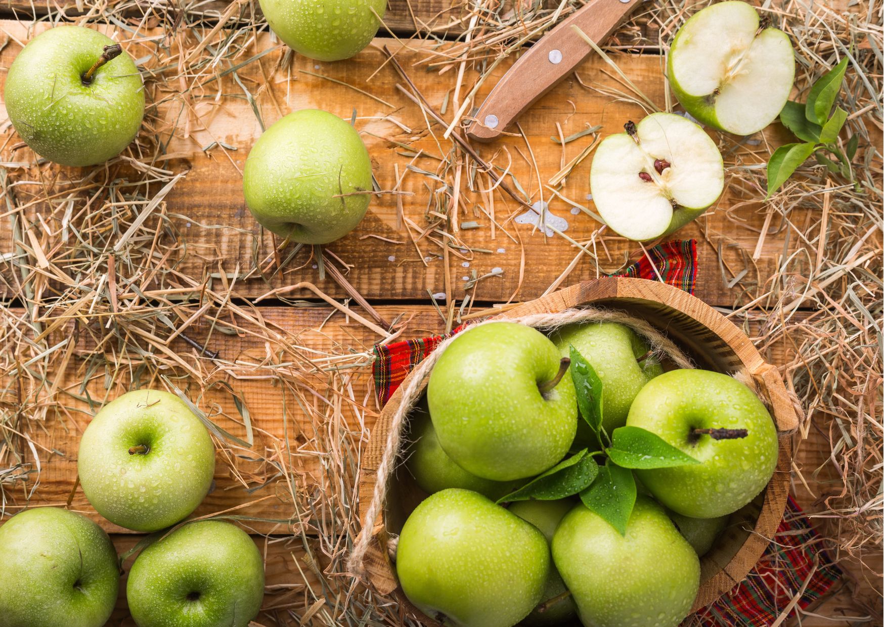 JAK PŮSOBÍ KMENOVÉ BUŇKY V KOSMETICE? - EMINENCE ORGANIC SKIN CARE