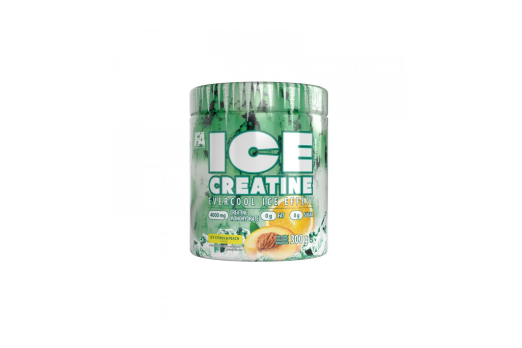 FA Nutrition Ice Creatine - 300 g | Kreatin | Fit-house.cz