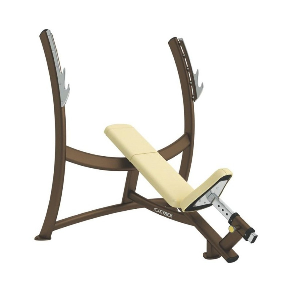Cybex Olympic Incline Bench - FIT PLUS