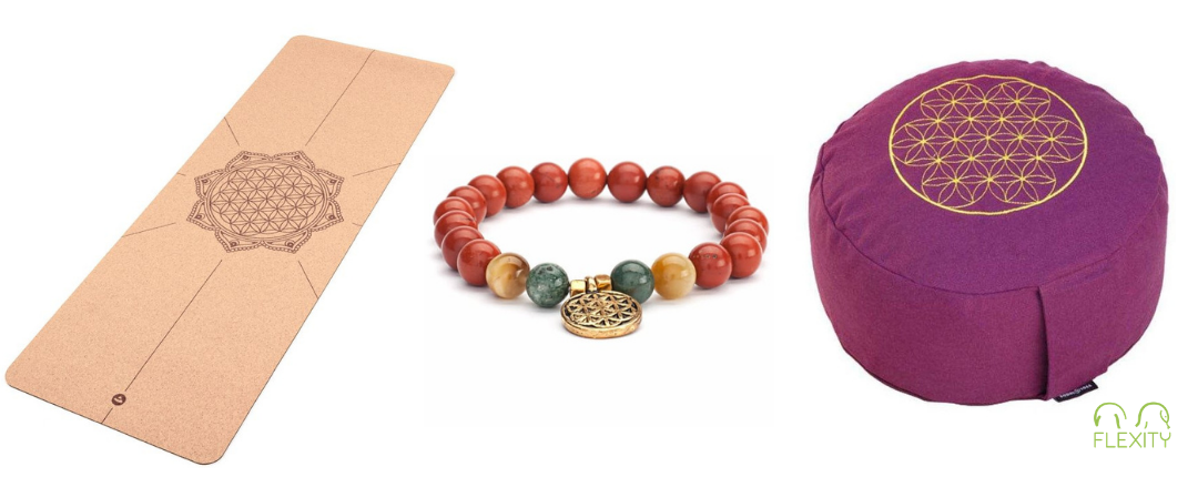 Květ života jako pravzor vesmírné geometrie | Flexity