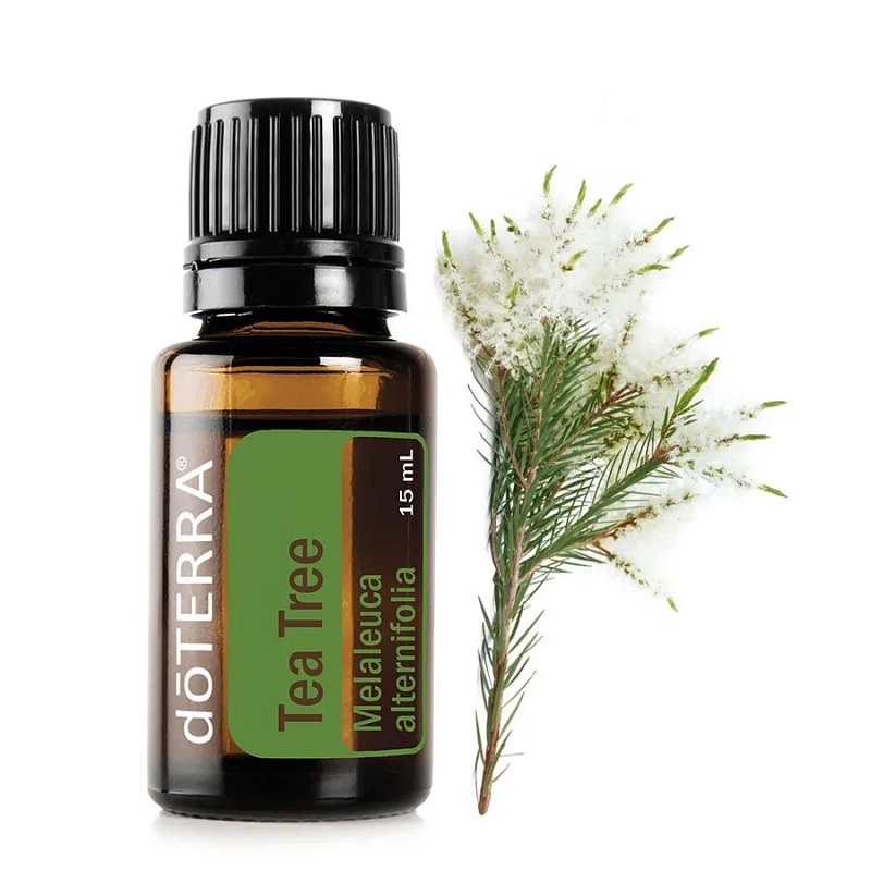 doTERRA Tea Tree Esenciálny olej čajovník 15 ml | Flexity