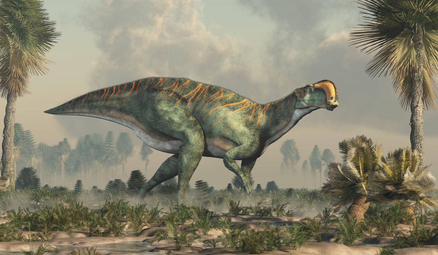 Altirhinus | Středně velký býložravý dinosaurus
