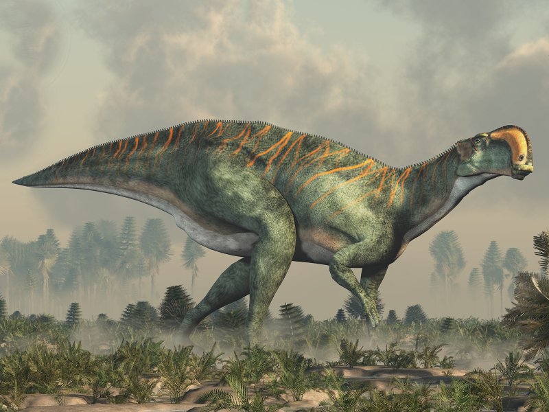 Altirhinus | Středně velký býložravý dinosaurus