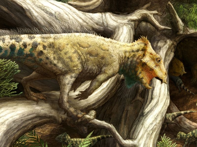 Aquilops americanus | Dolores z filmu Jurský svět