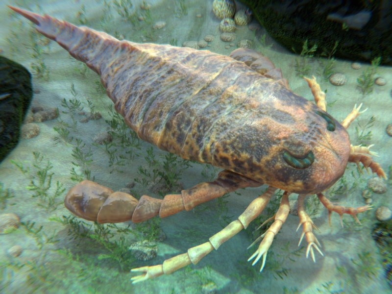 Kyjonožci - Eurypterida | Mořští štíři