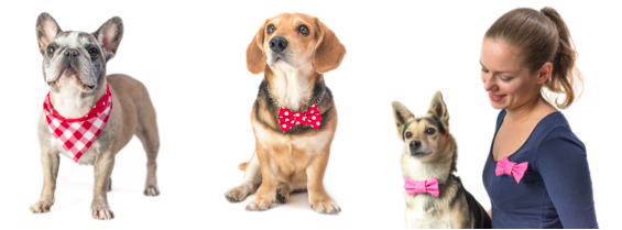 Nadační fond FUNKY DOG - naše mise