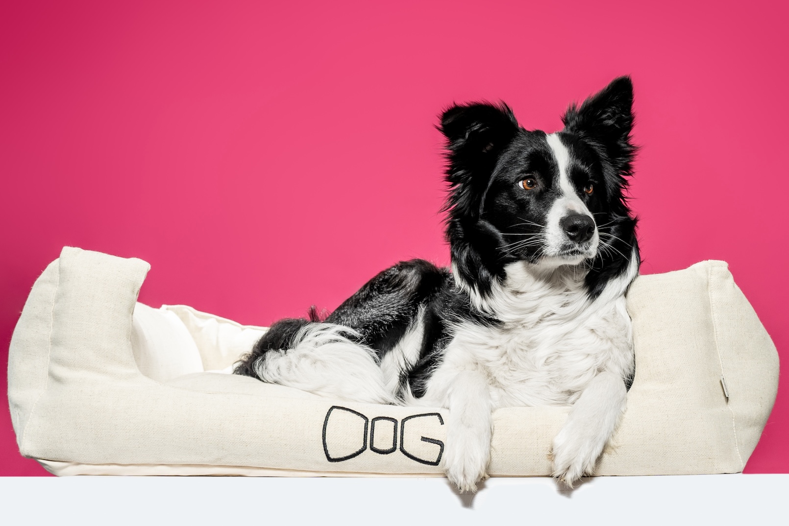 Non-Toxic Pelech pro Psa: Výhody Lněného Plátna & Paměťové Pěny | FunkyDog