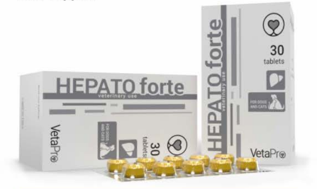 Hepato Forte přípravek pro podporu jater 30 tablet - Garig