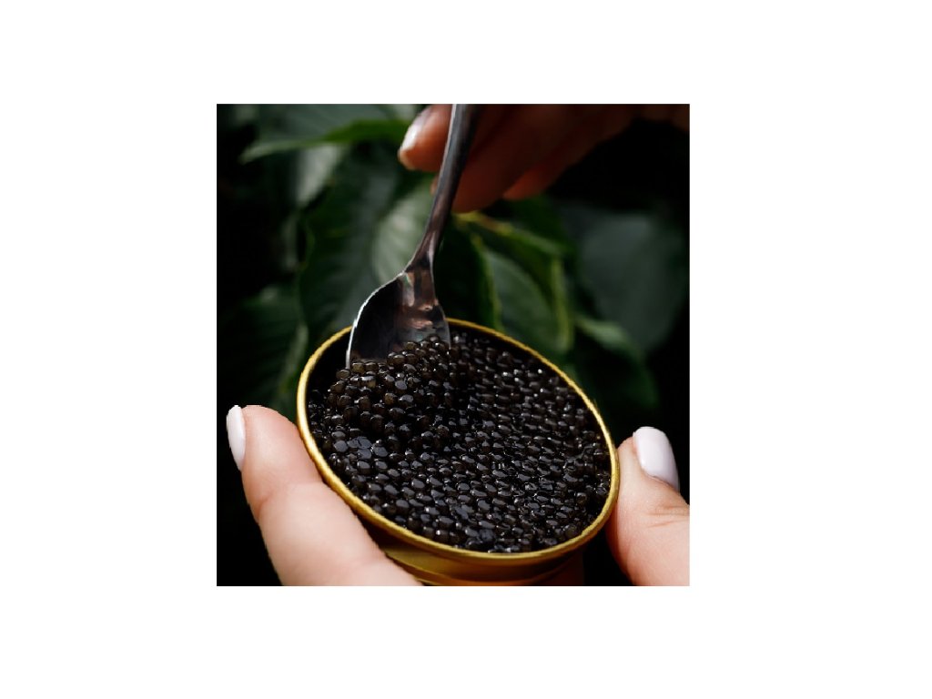 ARUKO Kaviár z Jesetra Transmontanus 50g - Golden Bakery