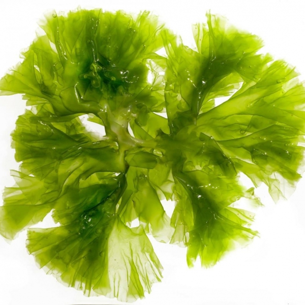 Čisticí pleťová emulze - Gravitas