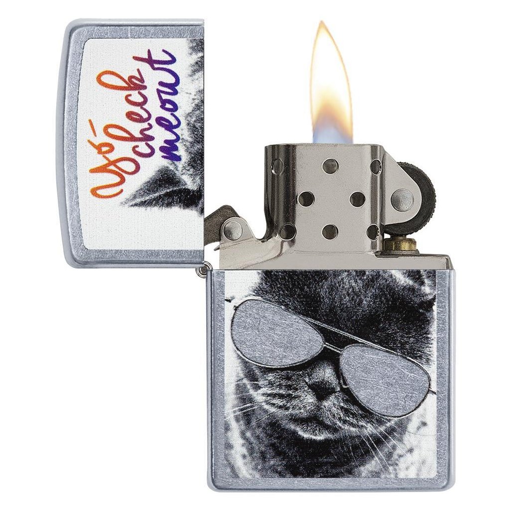 Zippo Cat With Glasses 29619 | Gravon.cz