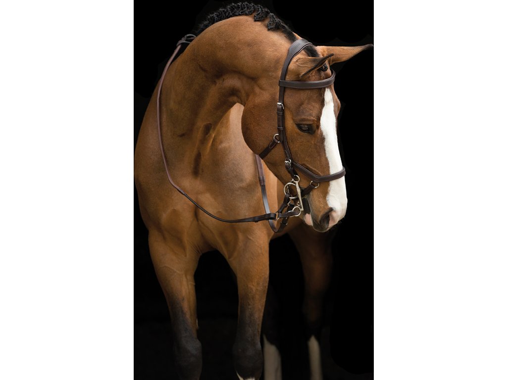 Uzdečka Competition Rambo Micklem, dark havana | HORSIMO.cz