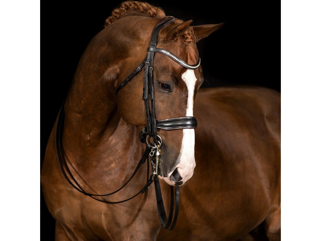 Uzda drezurní Galaxy Silver Mrs. Ros, černá | HORSIMO.cz