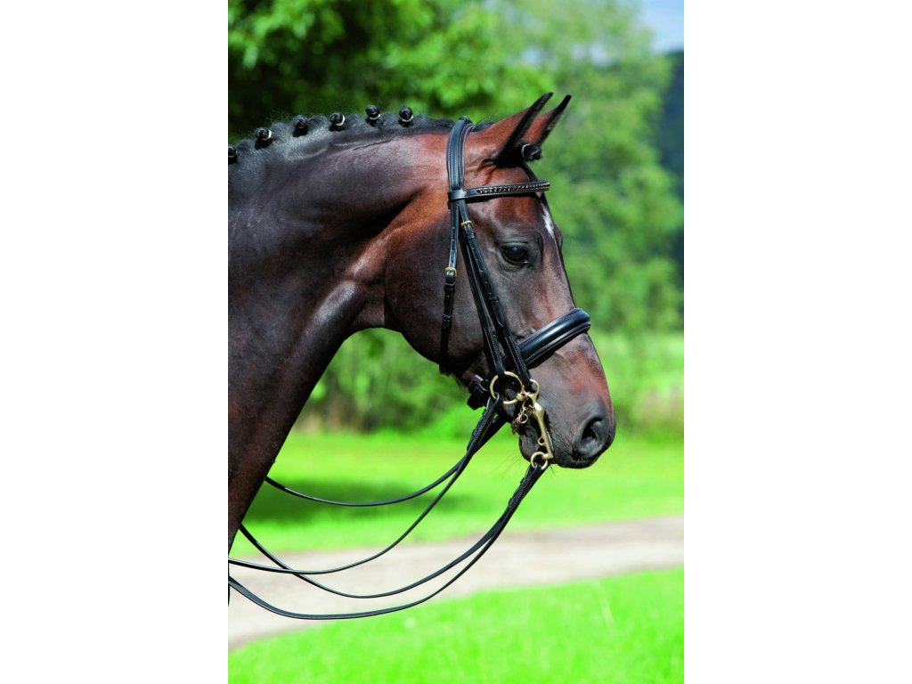 Uzda Esperanza Kieffer, black/brown | HORSIMO.cz