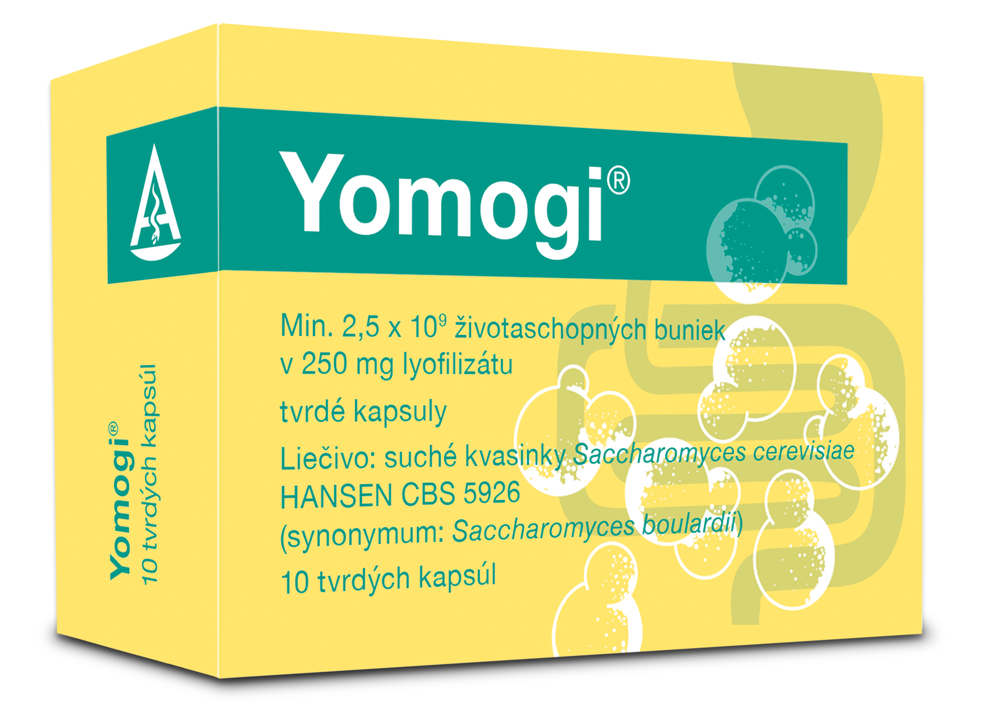 Yomogi kapsuly 10x250 mg | iliek.sk