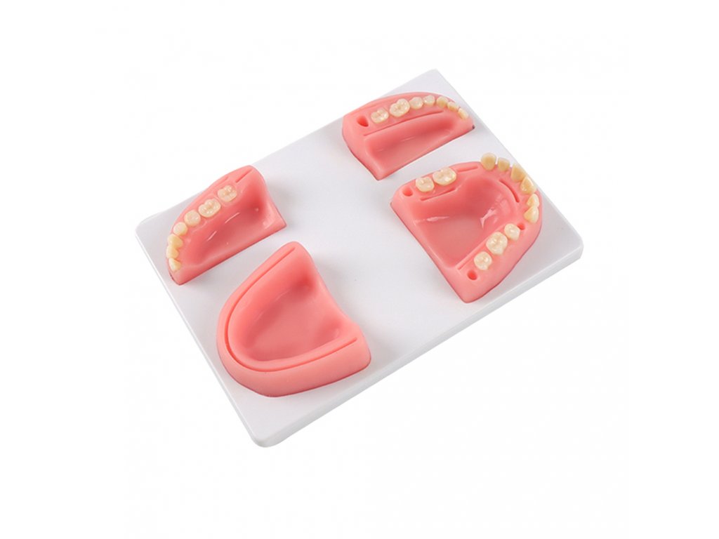 Oral cavity model for surgical suturing - INFINITE MedStyle