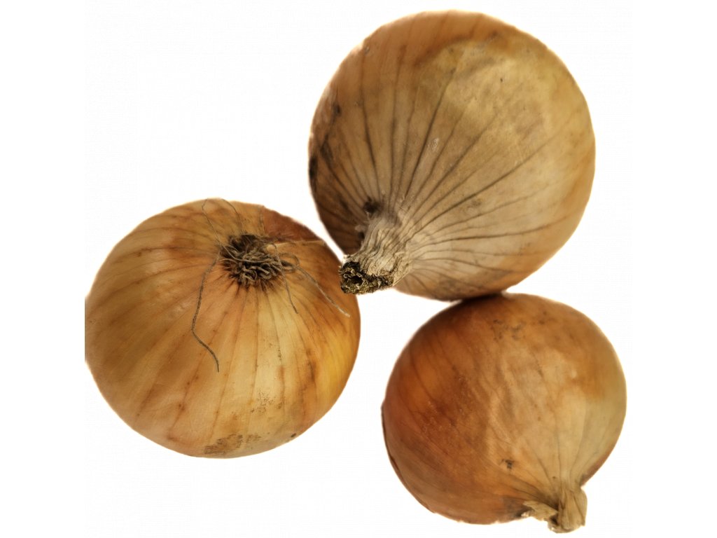 Cibule bílá 1kg - Kbelský dvůr