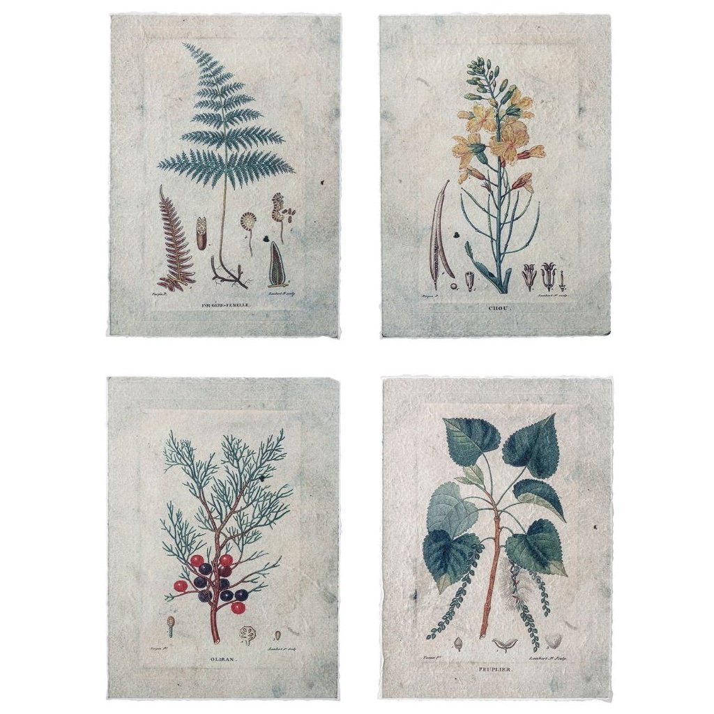 Kunstafbeelding FRIBO, set van 4 stuks, groen, Bloomingville 33 € ⭕ Kulina