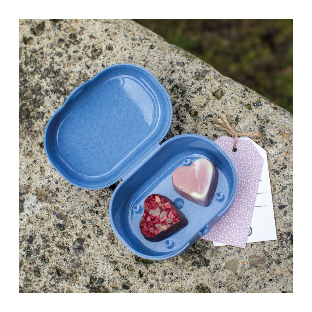 Kast suupisteks PASCAL MINI Koziol orgaaniline helehall - Kulinagroup.ee