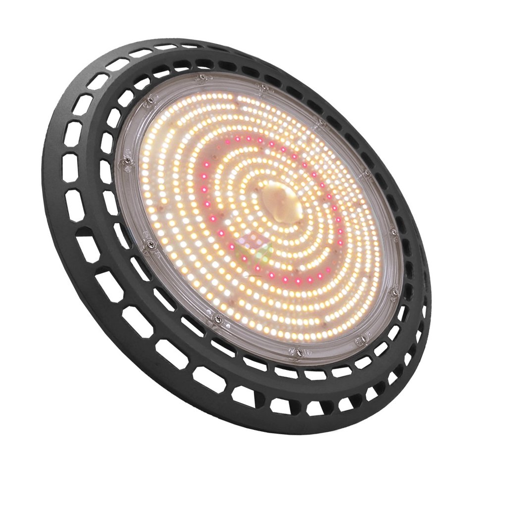 SunPro SUNBOY 150W LED