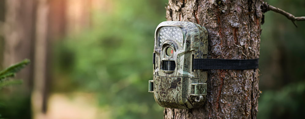 Jak funguje fotopast? |LIHNEME.CZ