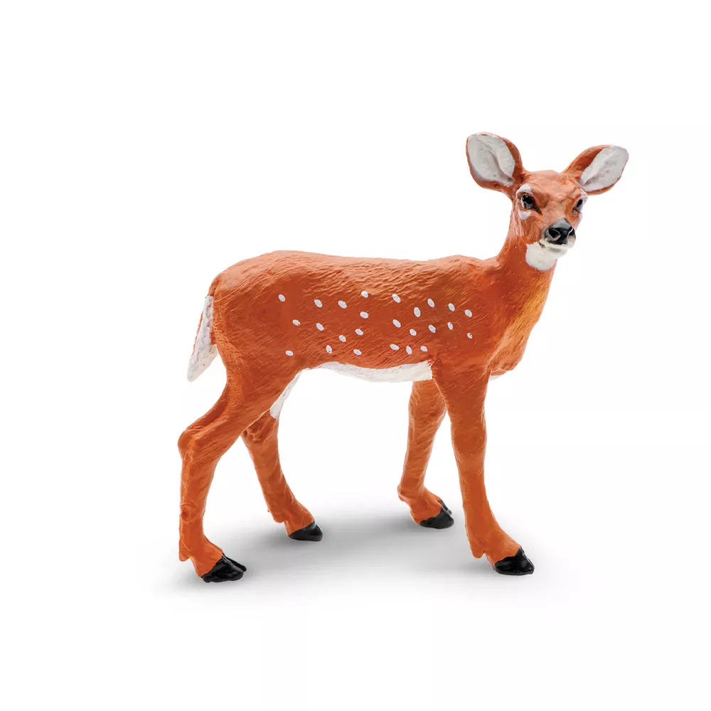 Kolouch bielochvostý - mamido.sk