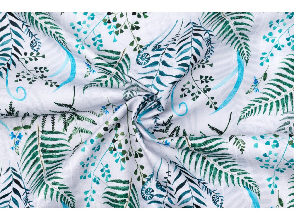 Kočíkovina papraď - Mamtex.sk