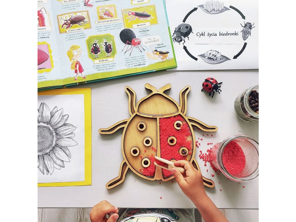 🥇 Smyslový tácek Beruška | Mámy v rejži