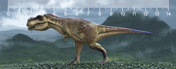 T-REX WALK DEEP - mapcards.net