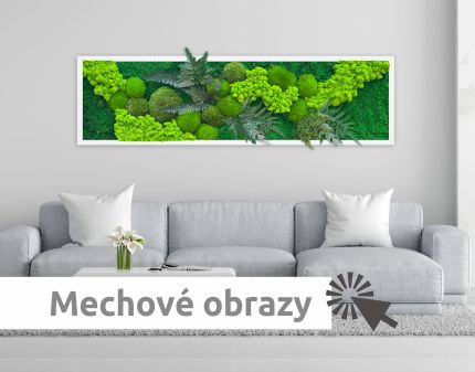 Mech-levně Mechové obrazy, stěny a dekorace za nejlepší ceny
