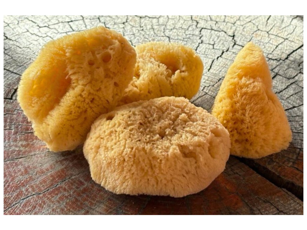 Přírodní mořská houba