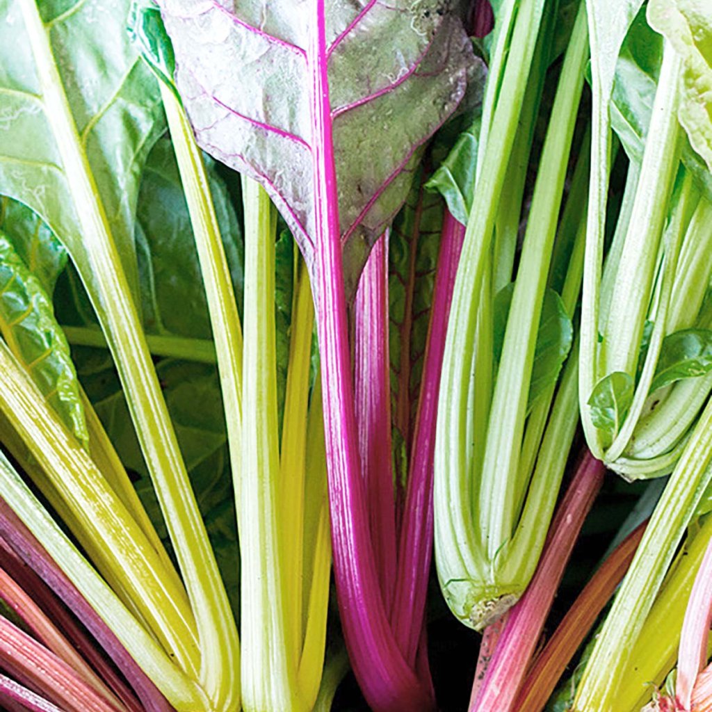 OSTATNÍ | NAKRMDUŠI, Strana 2