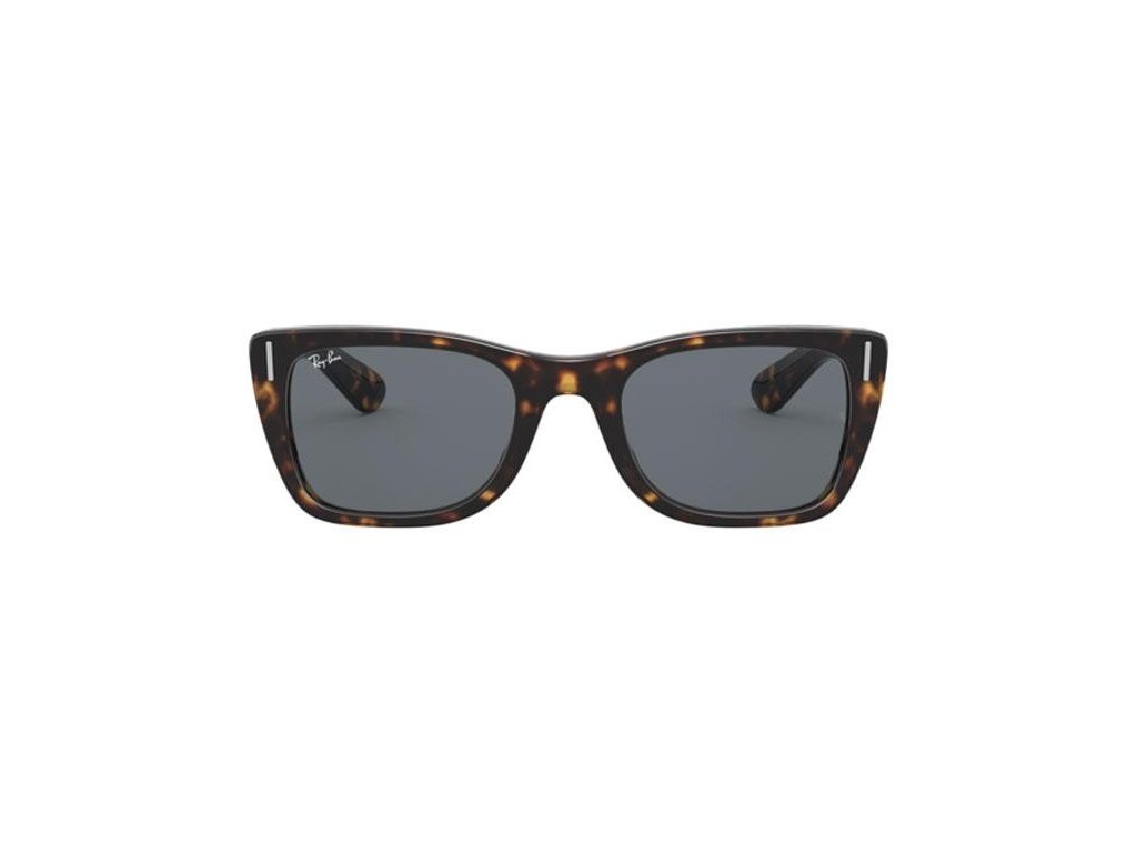 Slunecni bryle Ray-Ban RB2248