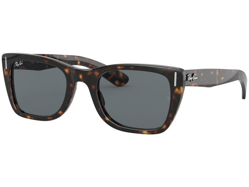 Slunecni bryle Ray-Ban RB2248