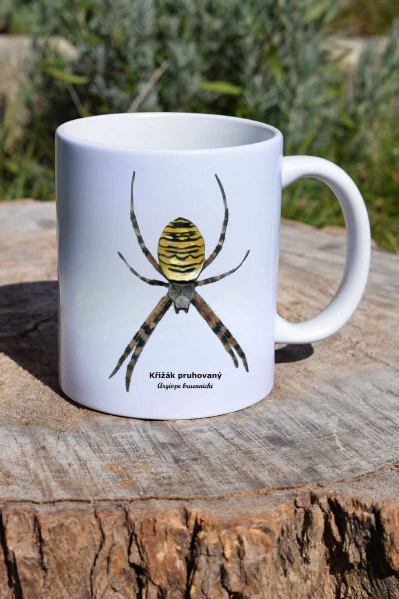 Hrnek s pavoukem - křižák pruhovaný - www.otakarkuvsvet.cz