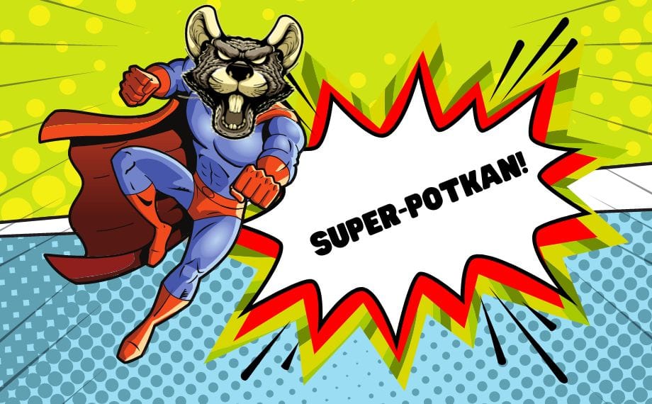 Neobyčejný potkan: 12 málo známých faktů o potkanech | Pasti.cz