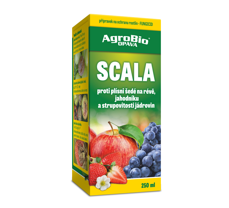 Scala 250 ml | Pasti.cz